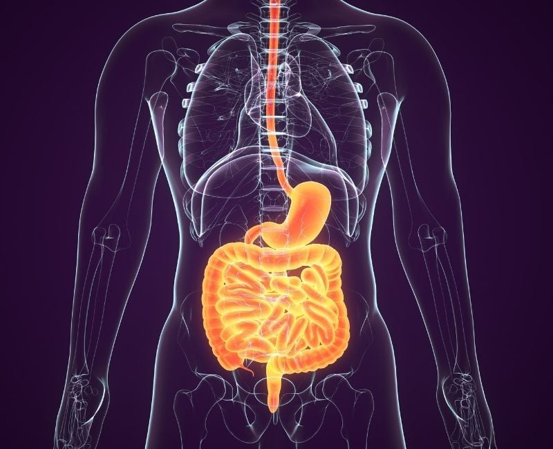 Gastrointestinal Cancer Care in Portland-Vancouver | Compass Oncology